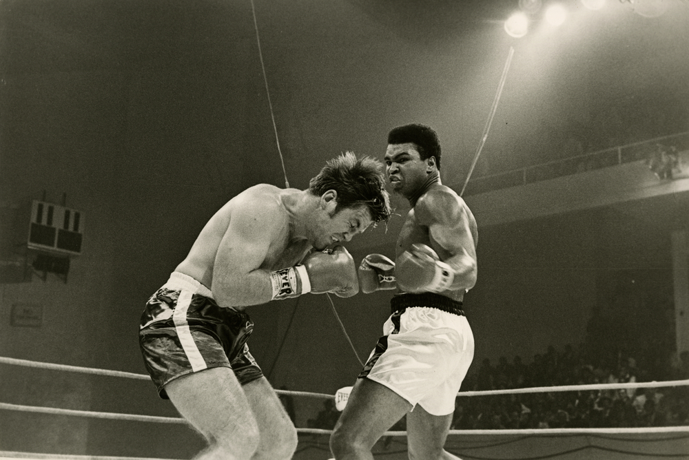 Paul Slade print for sale | Muhammad Ali vs. Jerry Quarry | OstLicht Shop